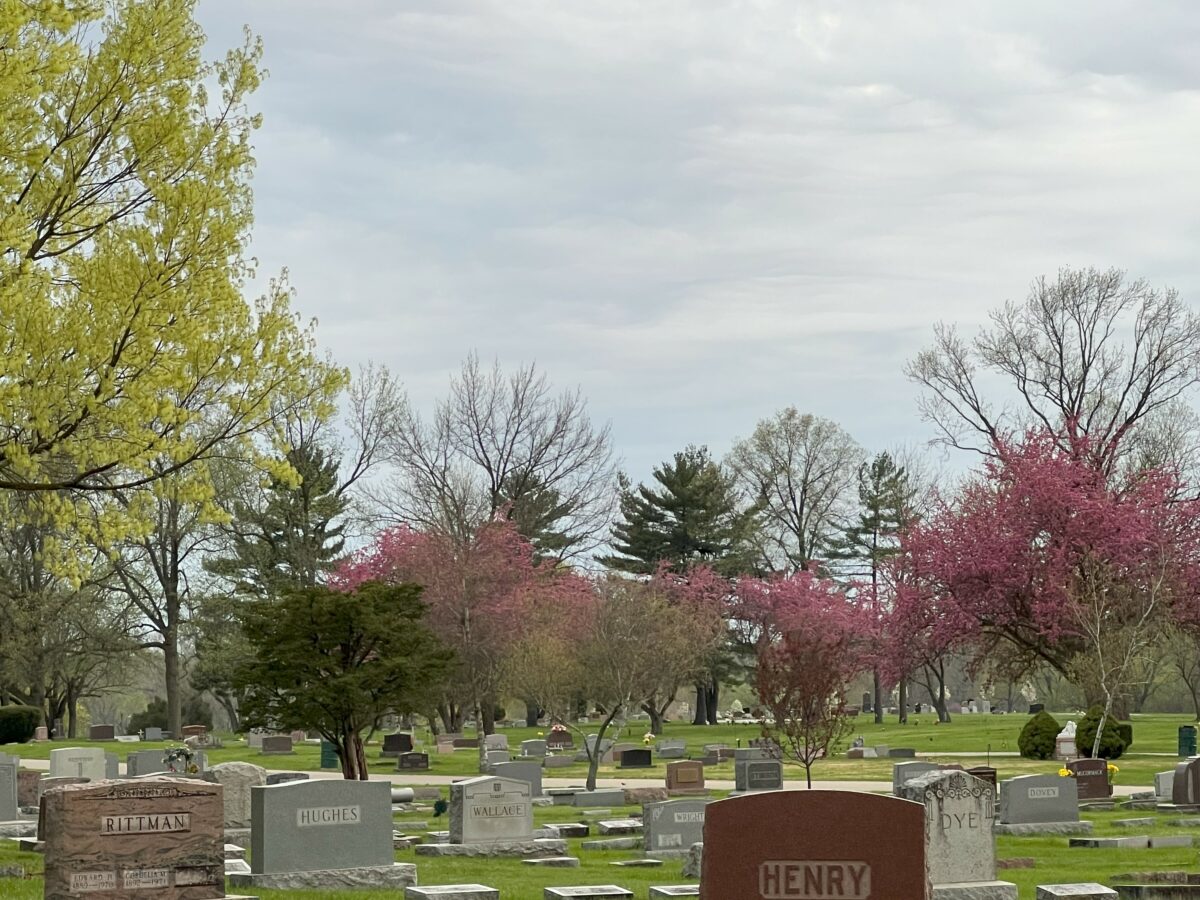 Spring at Maplewood - Maplewood Cemetery