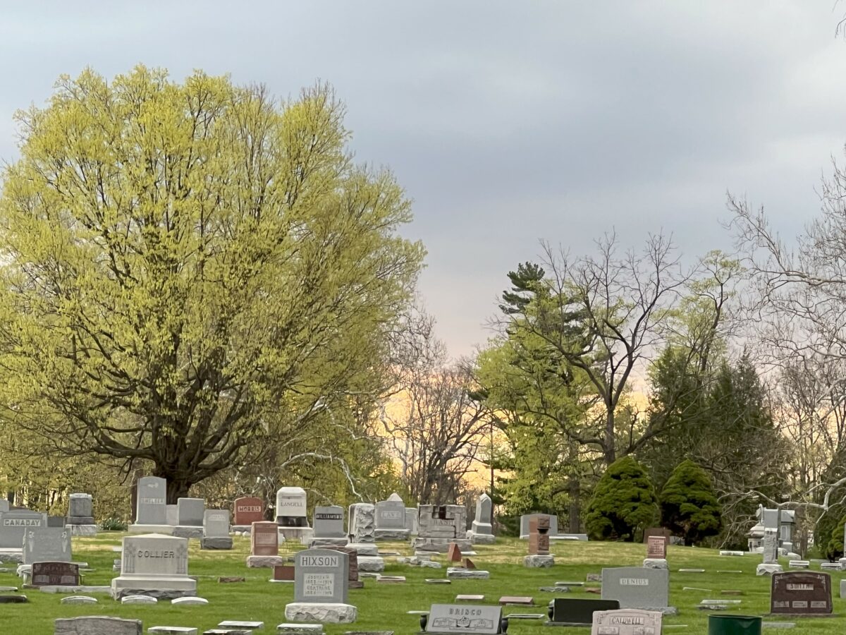 Spring at Maplewood - Maplewood Cemetery