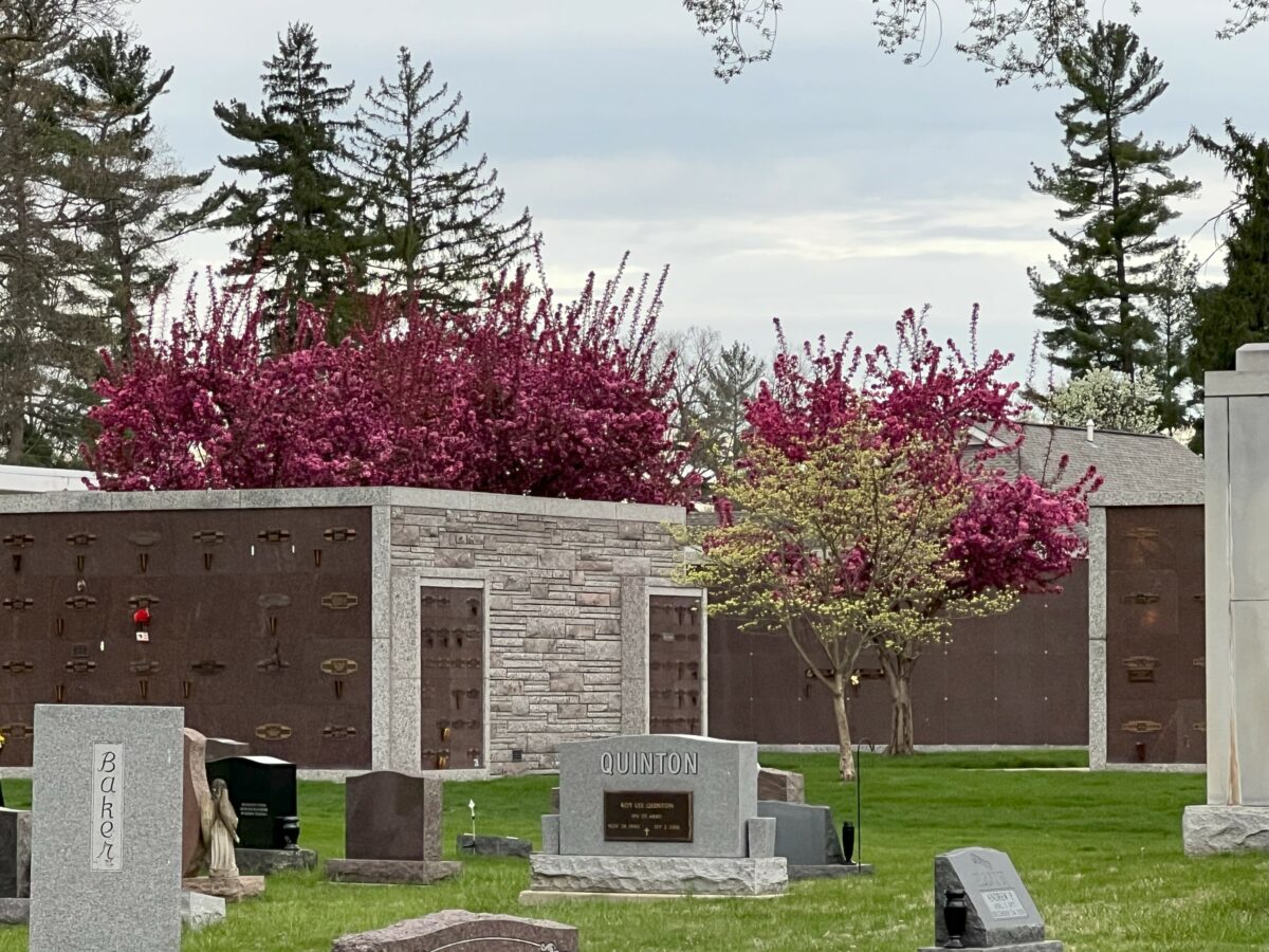 Spring at Maplewood - Maplewood Cemetery
