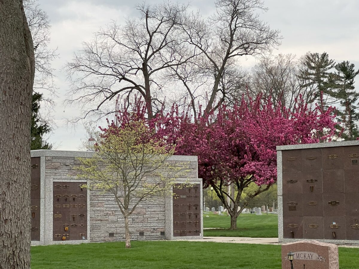 Spring at Maplewood - Maplewood Cemetery