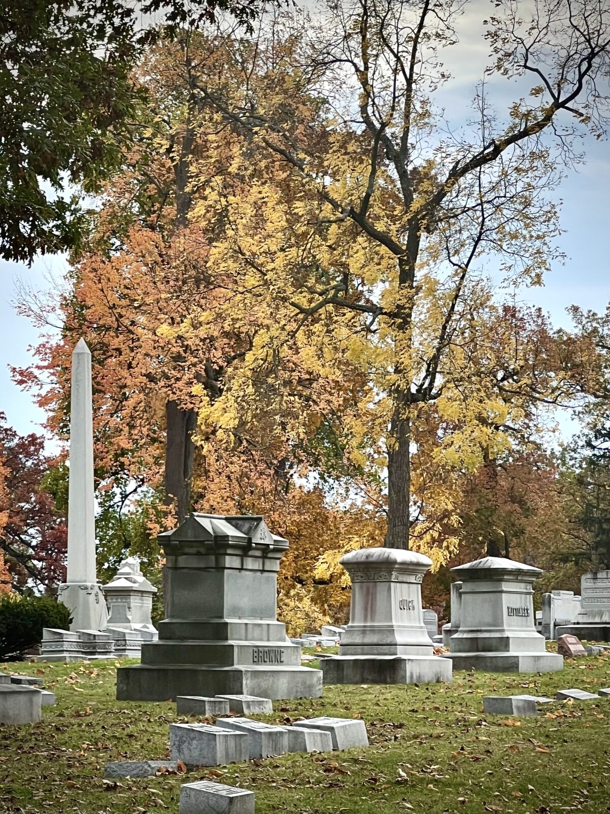 Fall 2023 at Maplewood Cemetery - Maplewood Cemetery